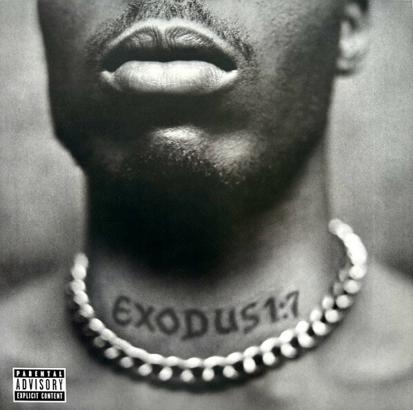 Пластинка DMX "Exodus" LP NEW