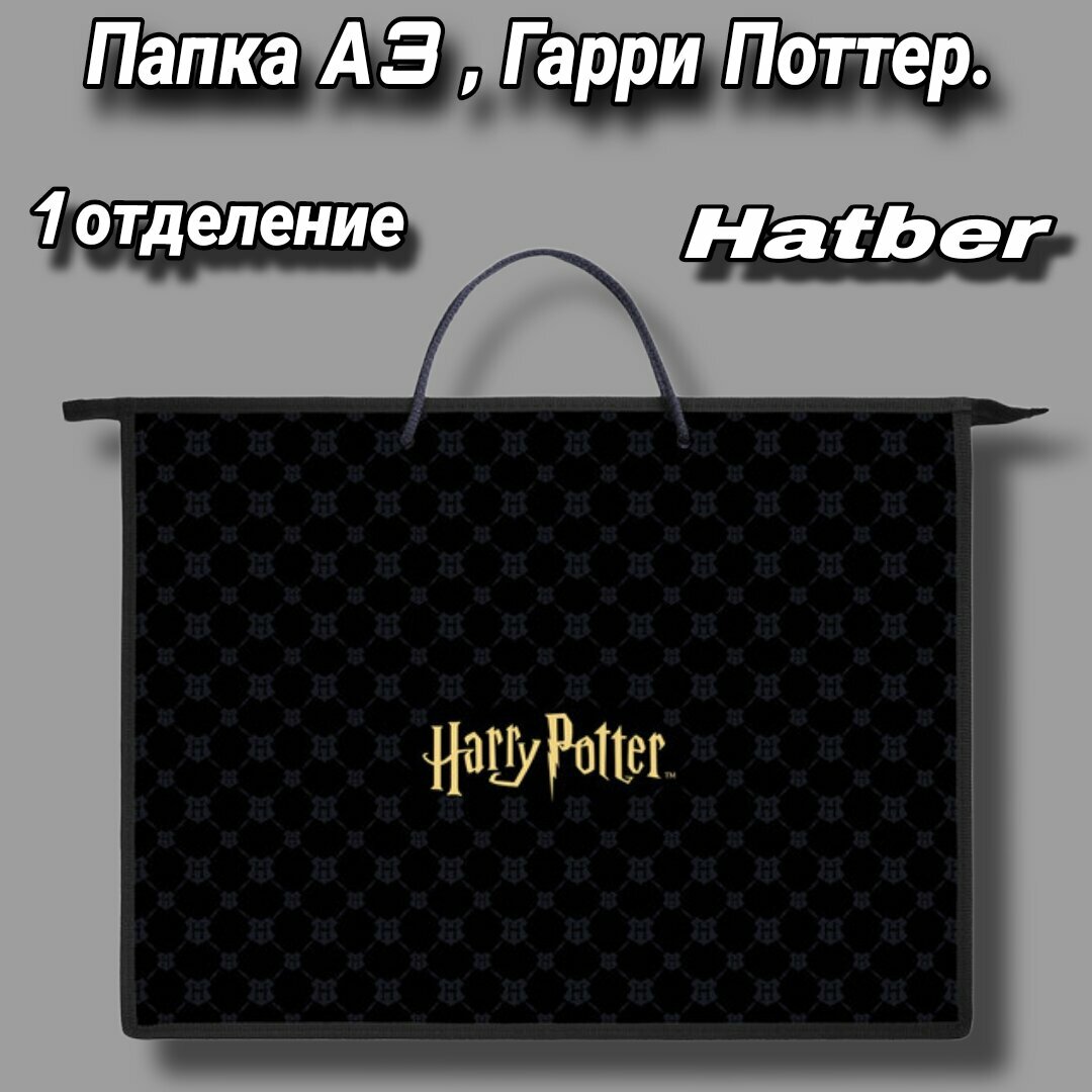 Папка для художника А3 Hatber. Гарри Поттер 1отд. с ручками пластик