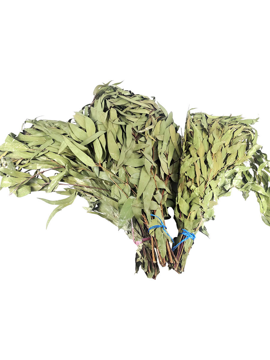 Набор банных веников из эвкалипта длиннолистного Суши Веник (4 шт.), урожай 2026