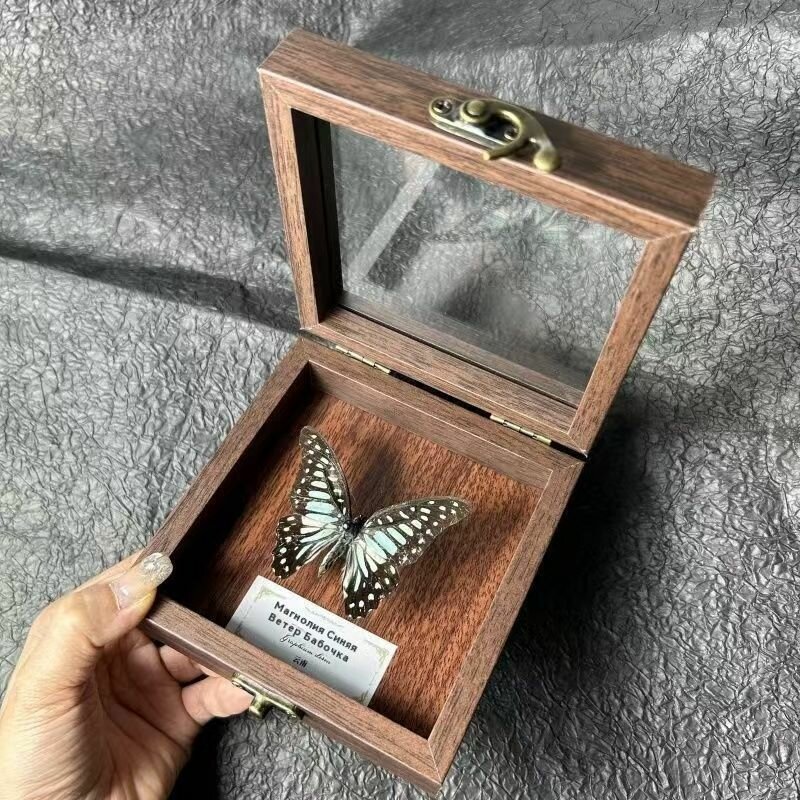 GEALFIS настоящие бабочки в рамке образцы насекомых 3D энтомологическая коллекция декор для дома и офиса