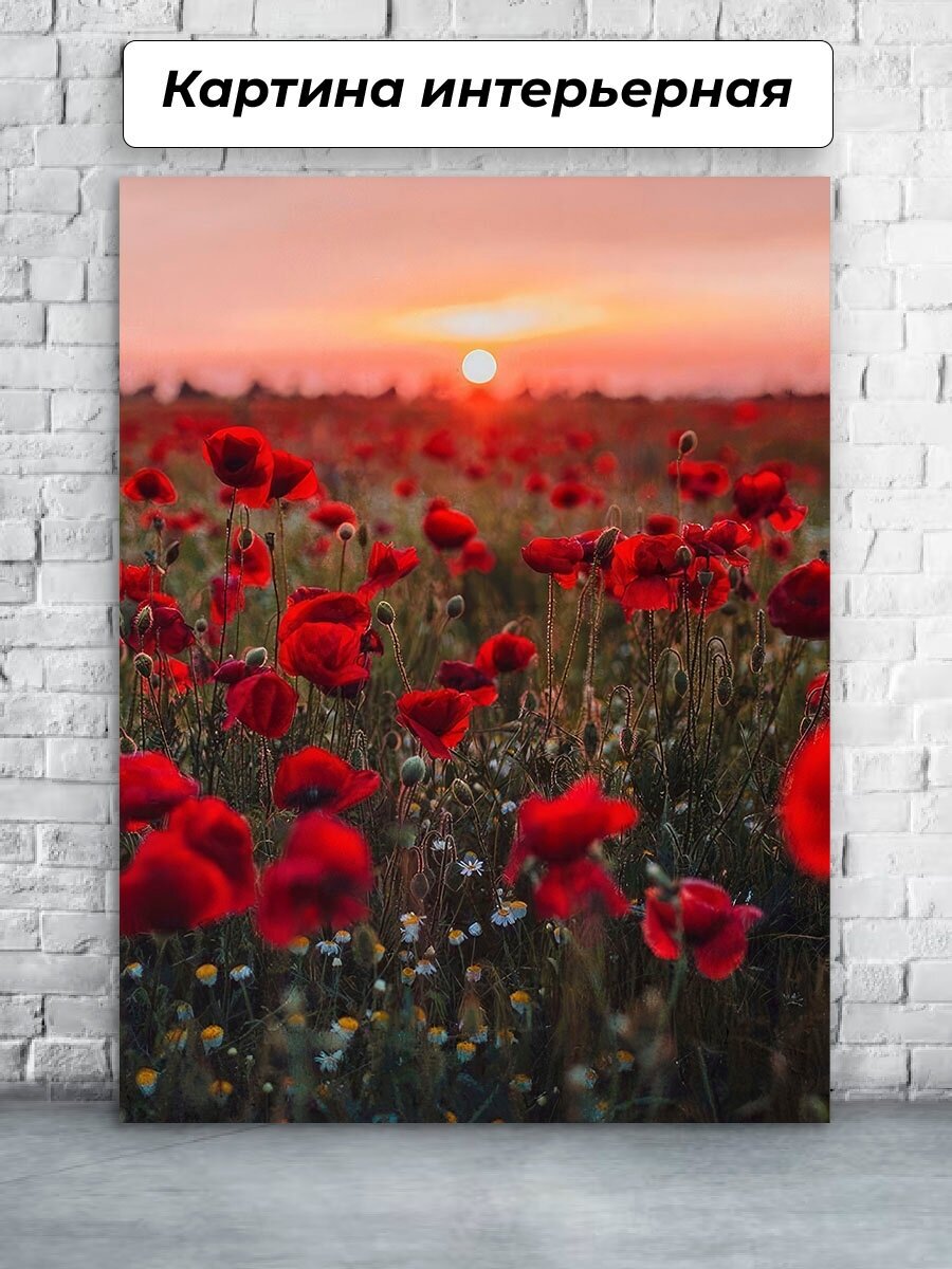 Картина 40х60 Маки