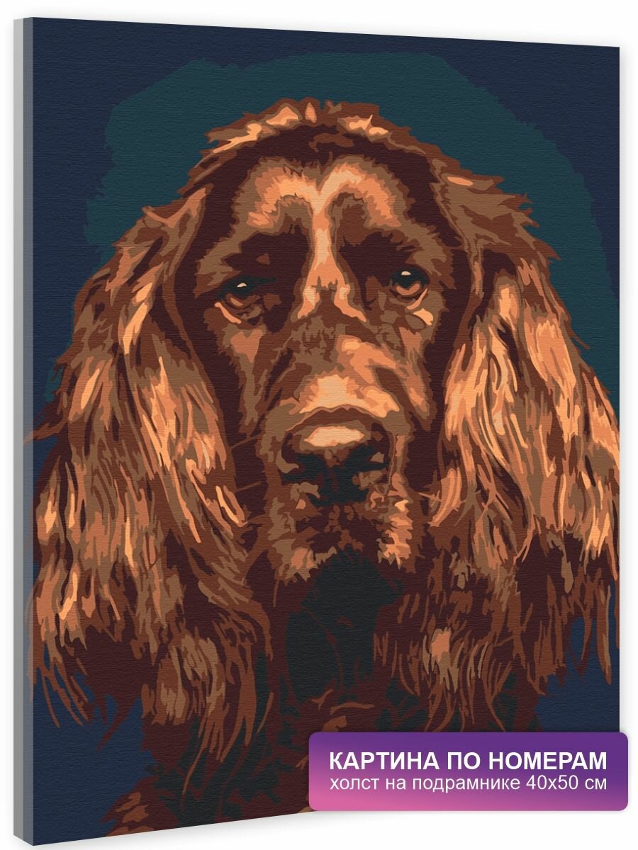 Картина по номерам на холсте с подрамником 40х50 см. Природа, животные, рыбы, птицы. Собаки, щенки. "Спаниель ", арт. 4452/