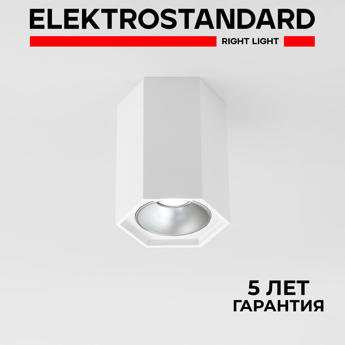 Спот / Накладной потолочный светодиодный светильник Elektrostandard 25036/LED 7W 4200K белый матовый / серебро