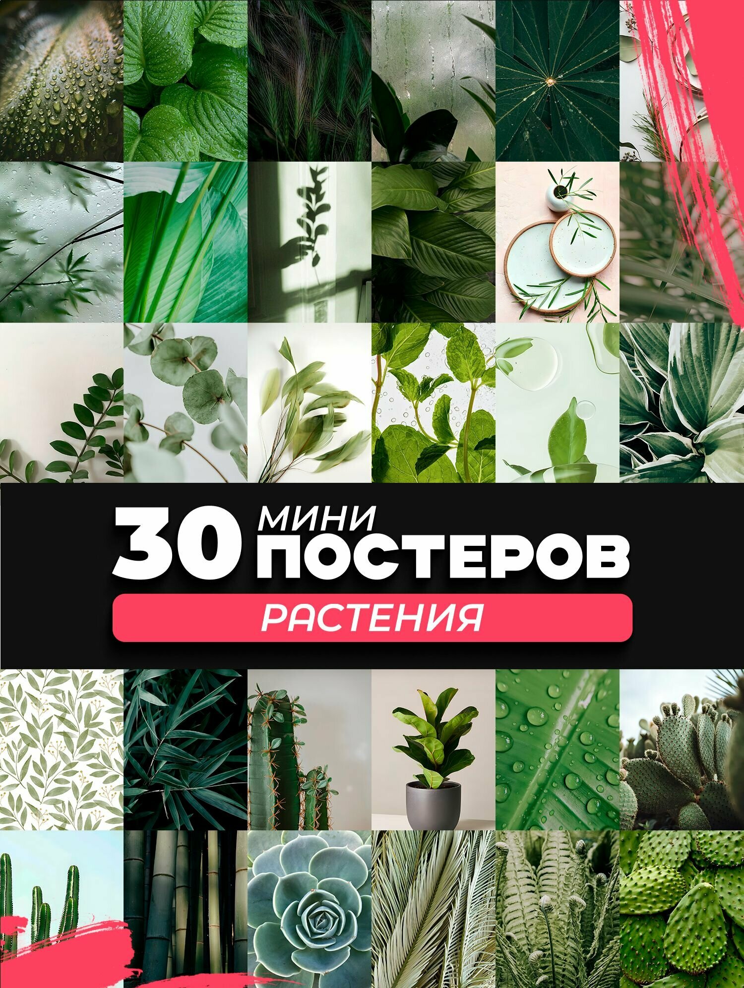 Набор мини постеров эстетика растений