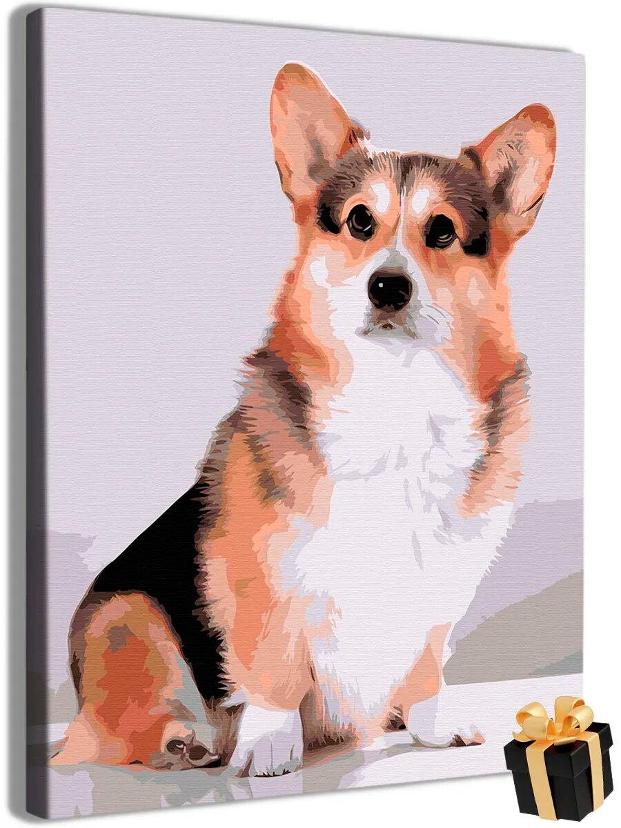 Картины по номерам Корги