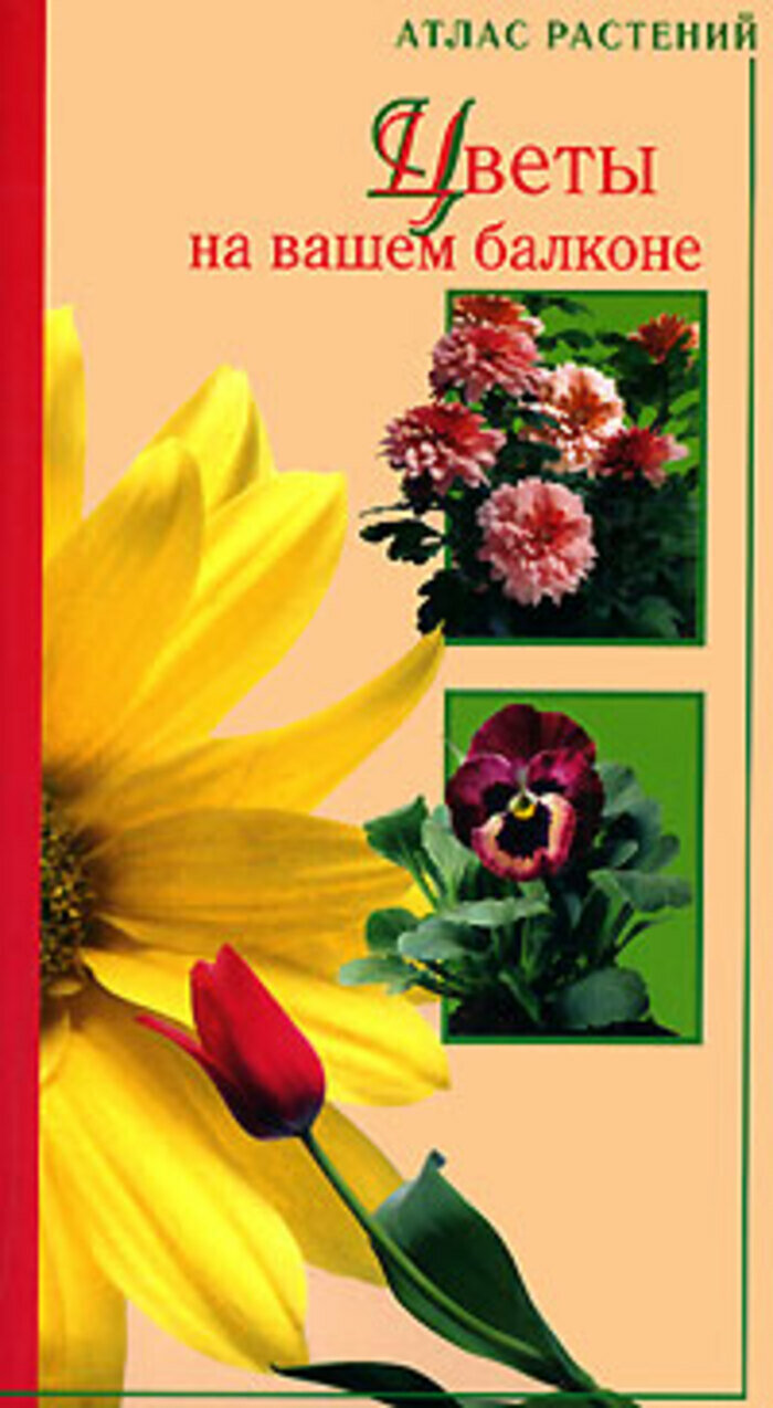 Цветы на вашем балконе