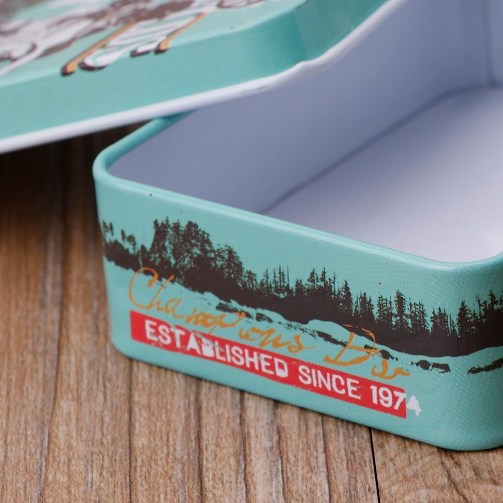 Мини-жестяная металлическая коробка для хранения конфет, Банка ювелирных изделий, банка монет, Серьги, наушники-HDJ-CJ0916