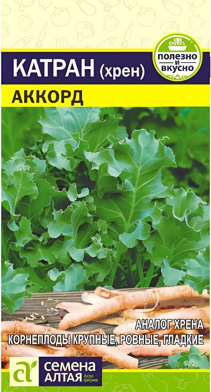 Катран (Хрен) Аккорд