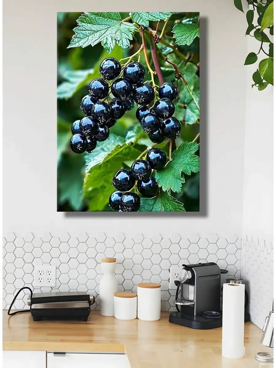 Картина "Черная жемчужина", для интерьера 30х40см 1шт.