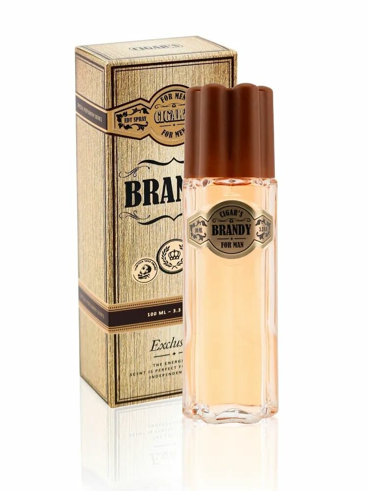 Туалетная вода Delta Parfum "Cigar's Brandy", мужская, фужерная, фруктовая, 100мл