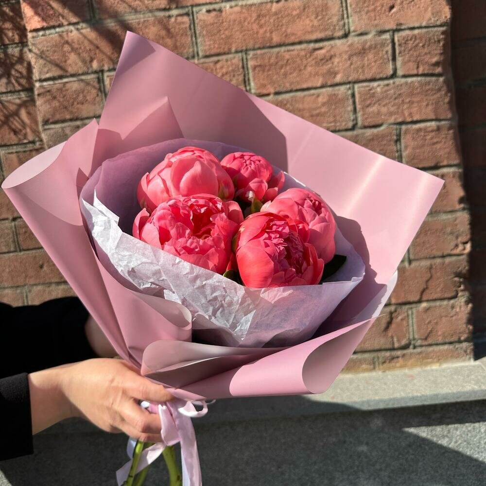 Монобукет Protea "Коралловые Пионы", 5 цветов, высота 50см, упаковка аквабокс