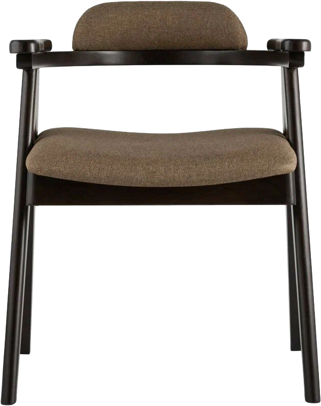 Комплект стульев Stool Group Olav эспрессо, кофейный, 2 шт.