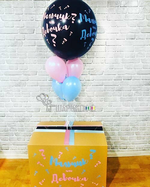 Коробка сюрприз "Мальчик или Девочка" №11