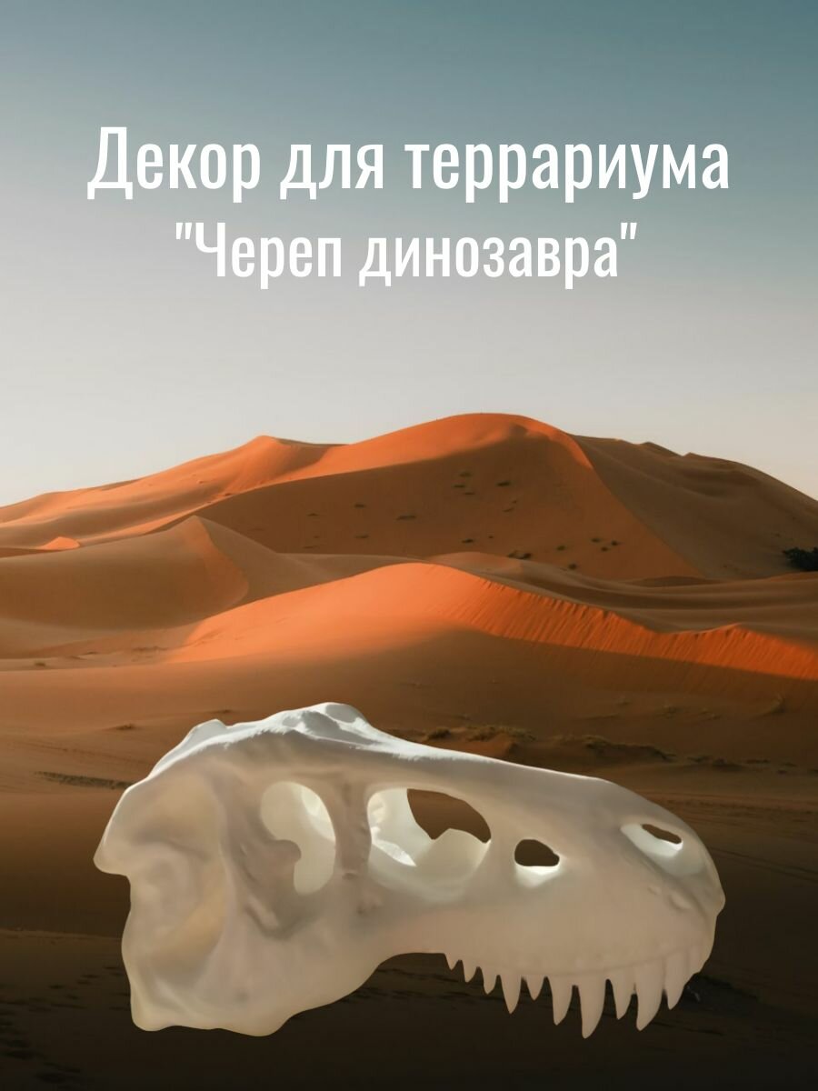 Декор для террариума, "Череп Динозавра", пластик, белый, 16 см х 10 см х 7 см5