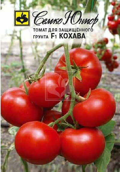 Томат Кохава F1 5шт. (Семко)
