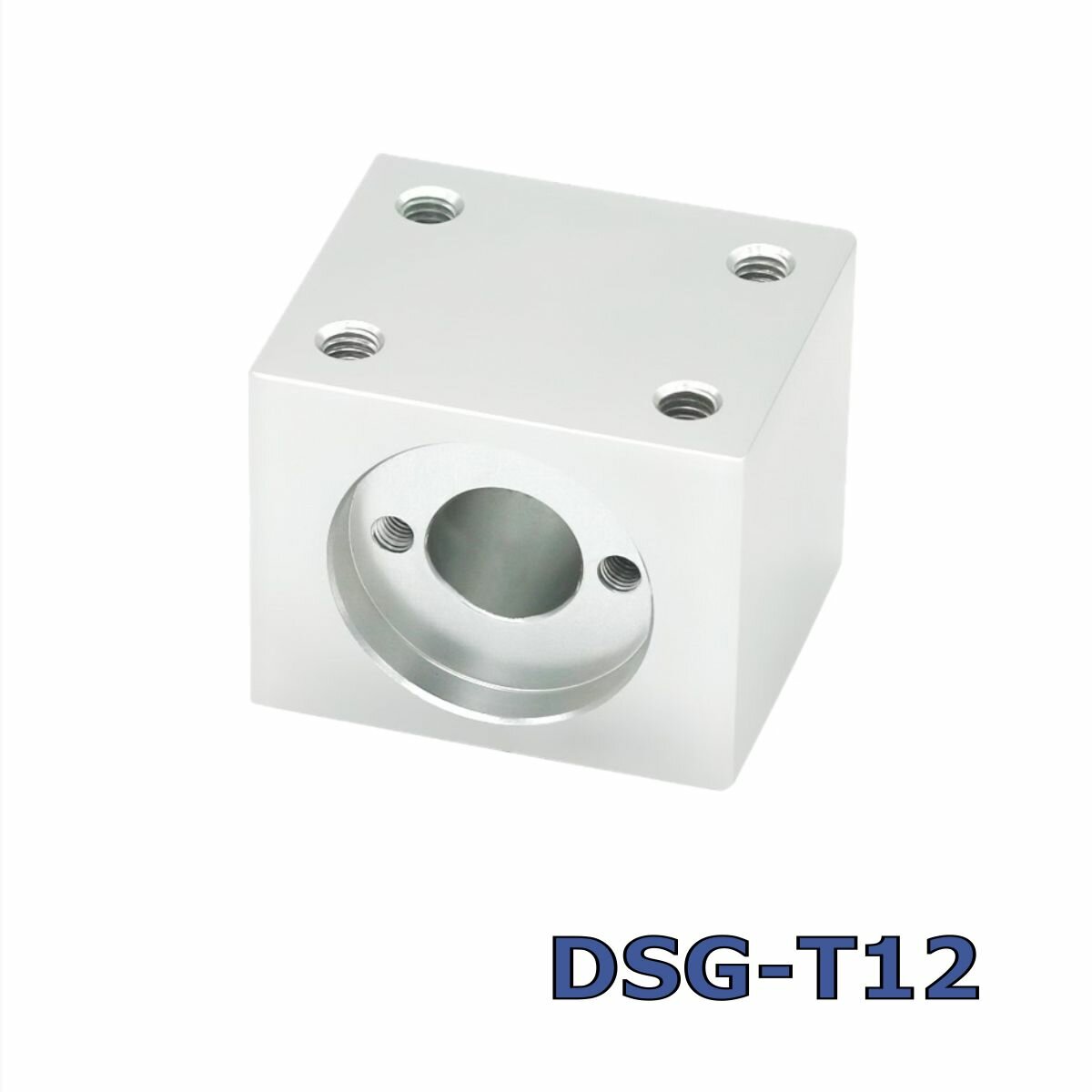 Модуль крепления/держатель гайки трапеции DSG-T12