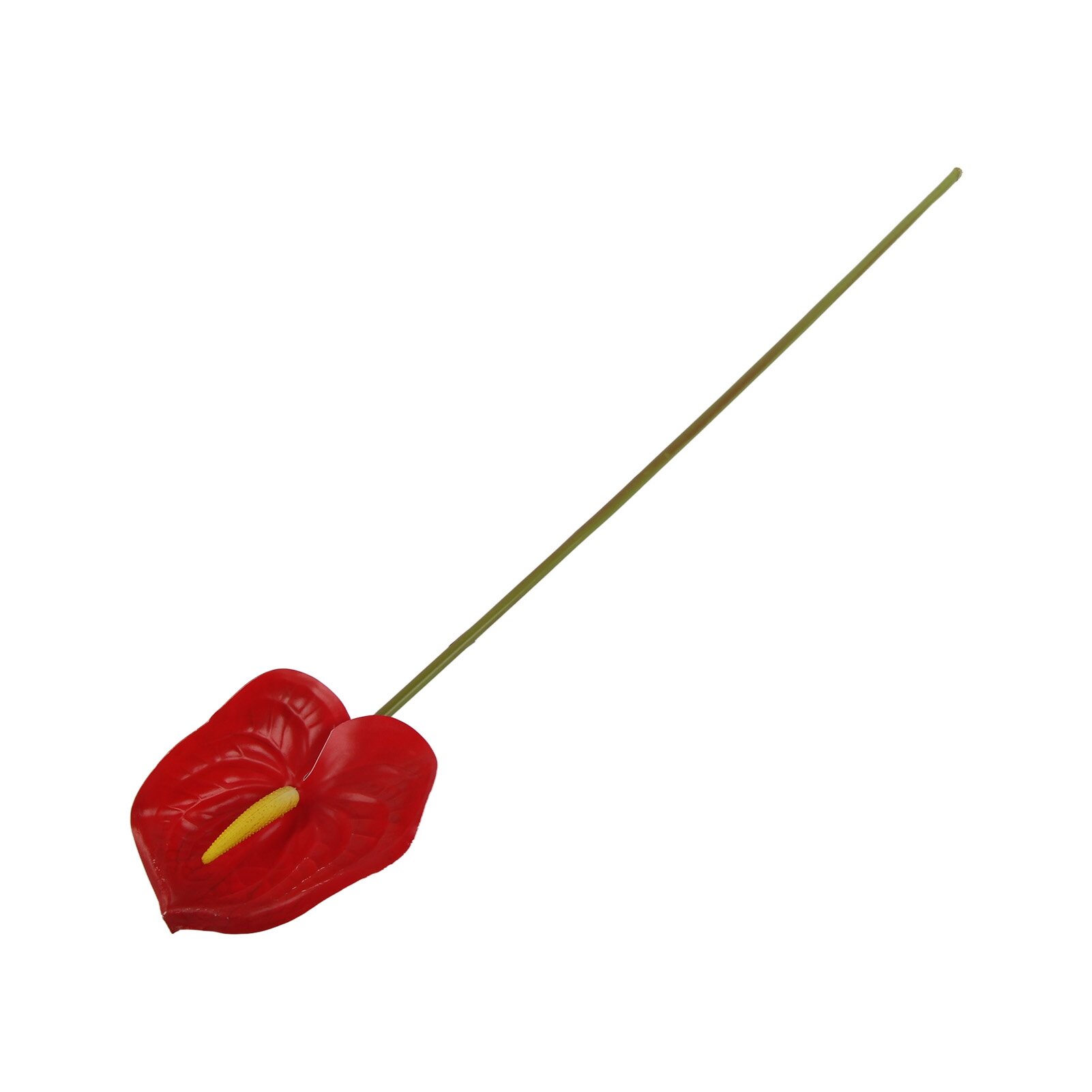 Моделирование 3D Цветок Антуриума Гостиная Планировка Дома Моделирование Цветочного Букета Фламинго Антуриум