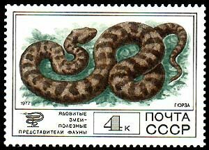 (1977-100) Квартблок марок СССР "Гюрза" , III негашеная