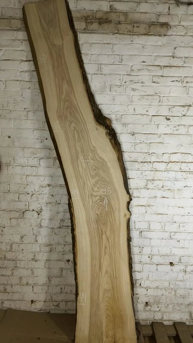 Слэб дерева Ясень Я7, выровнен в плоскости, влажность 10-11%