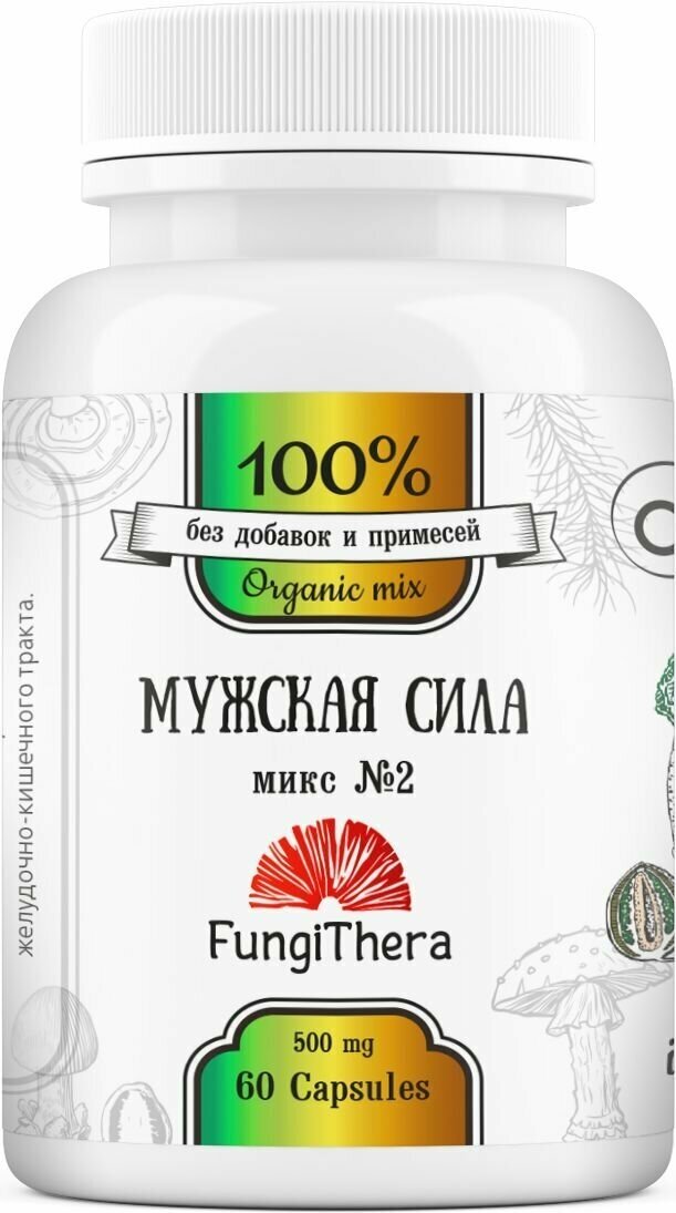 Микс Мужская сила 2/ гриб весёлка / ширш египетский / Шиитаке / ноотроп