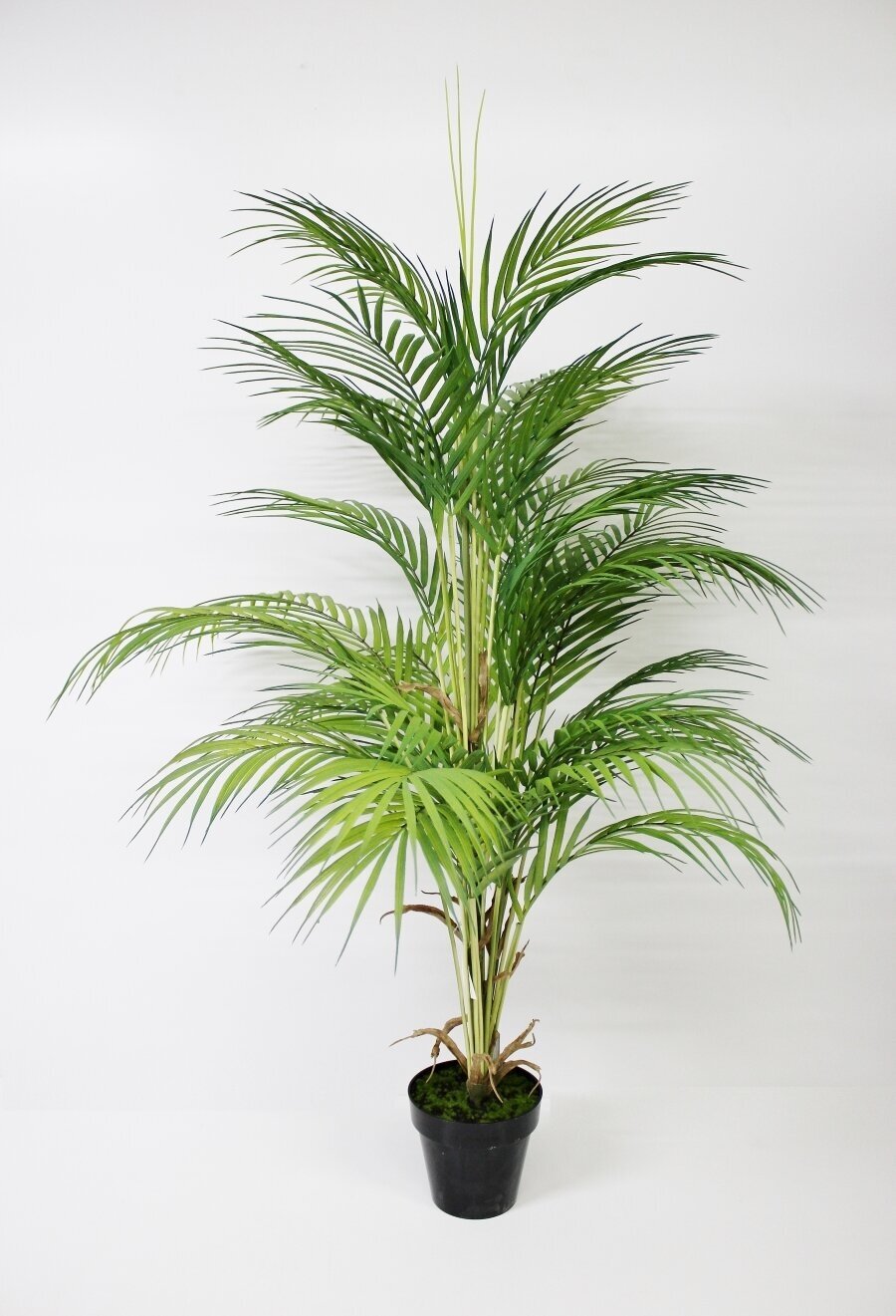 Пальма в кашпо, высота 115 см, бренд CONEKO - декор для дома и офиса