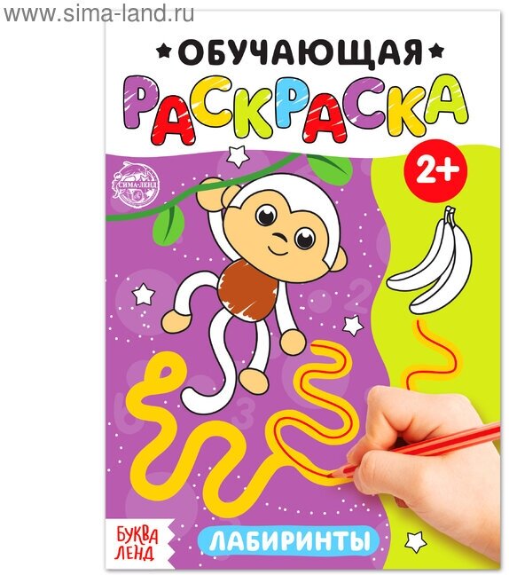 Раскраска «Лабиринты», 12 стр, 4798699