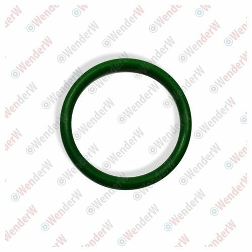 Кольцо уплотнительное (16,7Х1,8) AUDI, SEAT, SKODA, VW WENDERW WEKK067