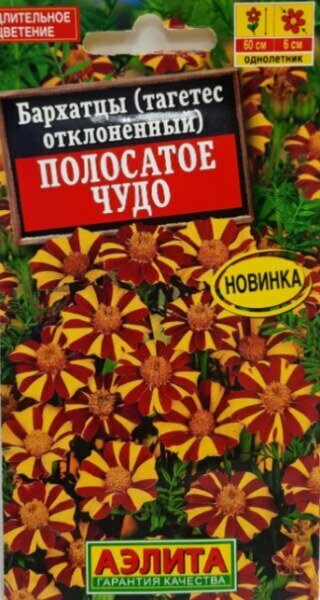 Цена за 10 пачек! Семена Бархатцы отклоненные Полосатое чудо 0,1г Одн 60см (Аэлита)