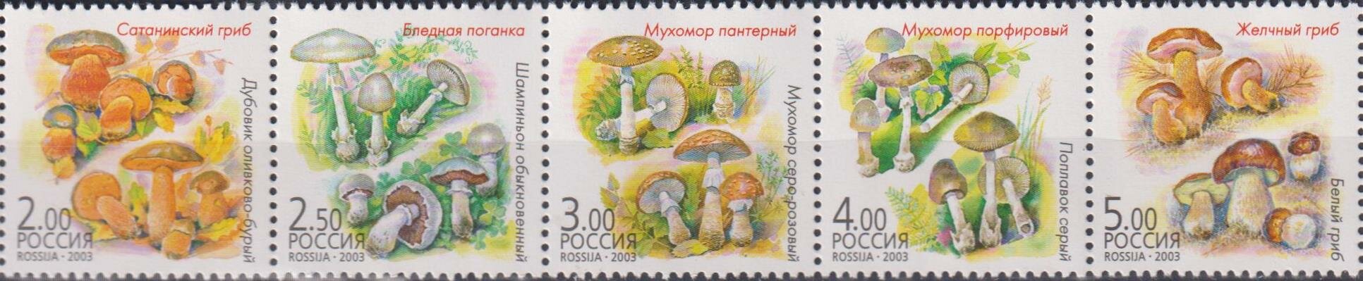 Почтовые марки Россия 2003г. "Грибы-двойники" Грибы MNH