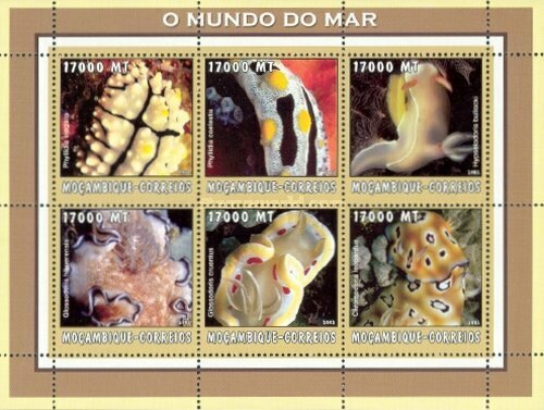 Почтовые марки Мозамбик 2002г. "Морская жизнь - морские слизни" Морские животные MNH