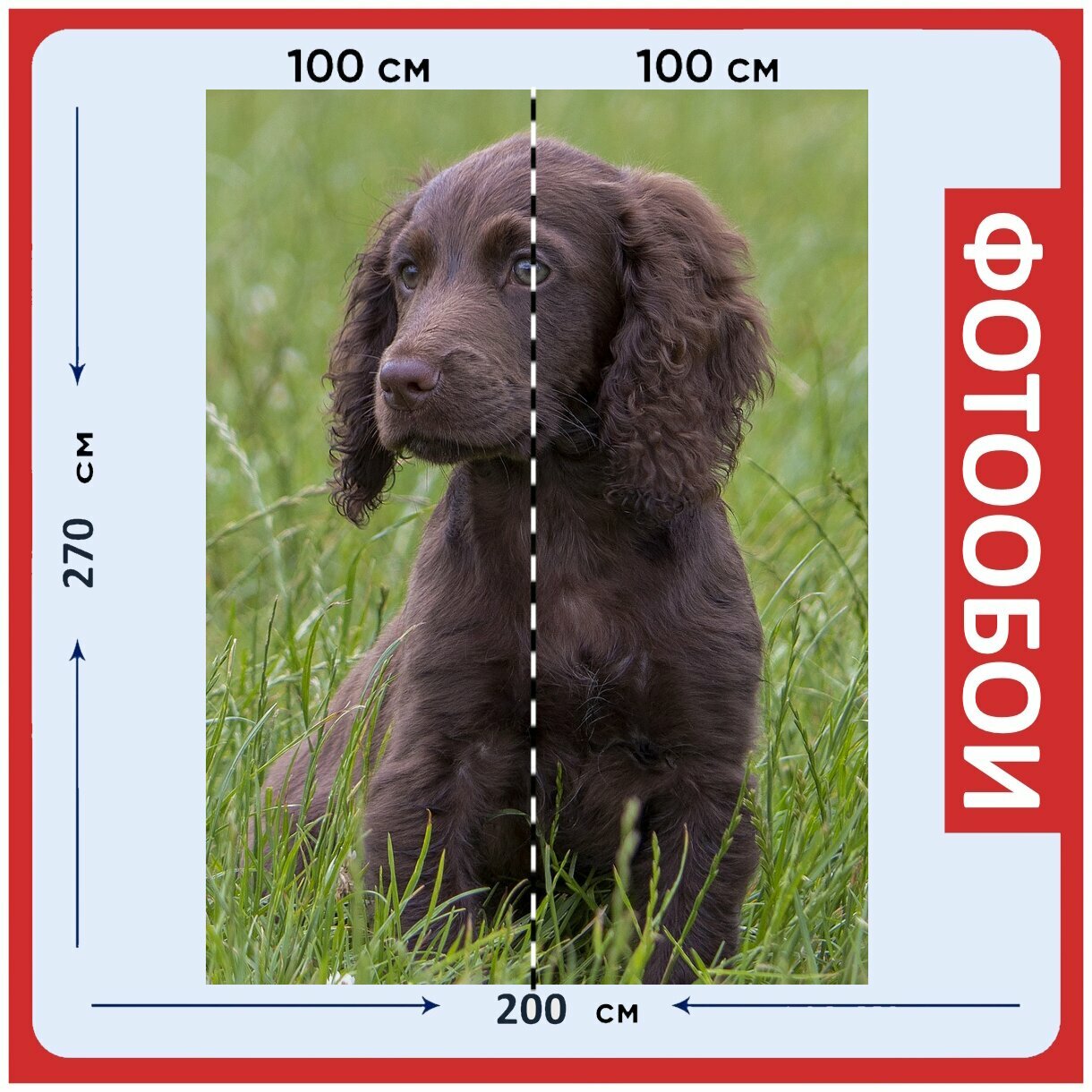Фотообои "Щенок, собака, домашний питомец" 200x270 см. флизелиновыена стену