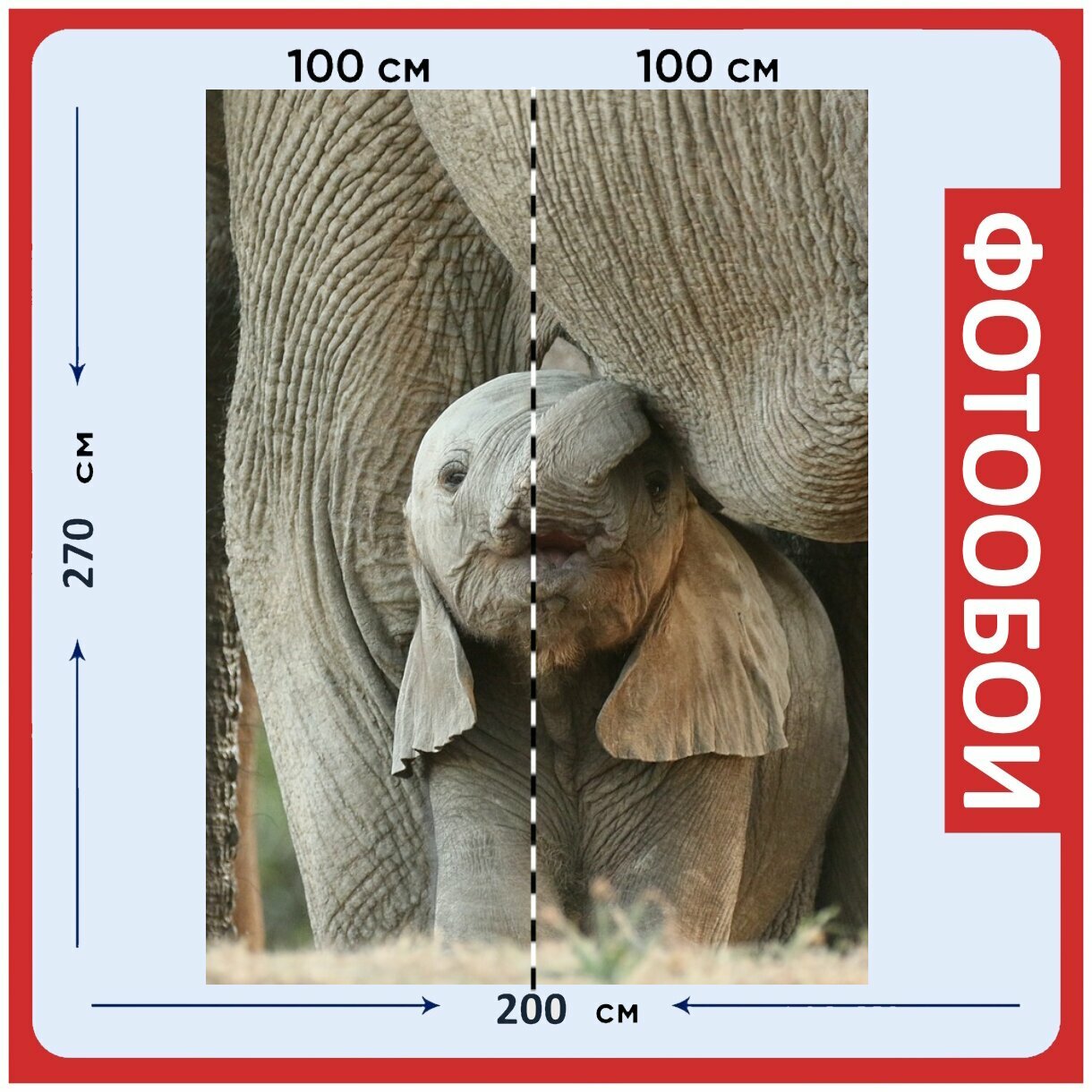 Фотообои "Слоны, слоненок, сафари" 200x270 см. флизелиновыена стену