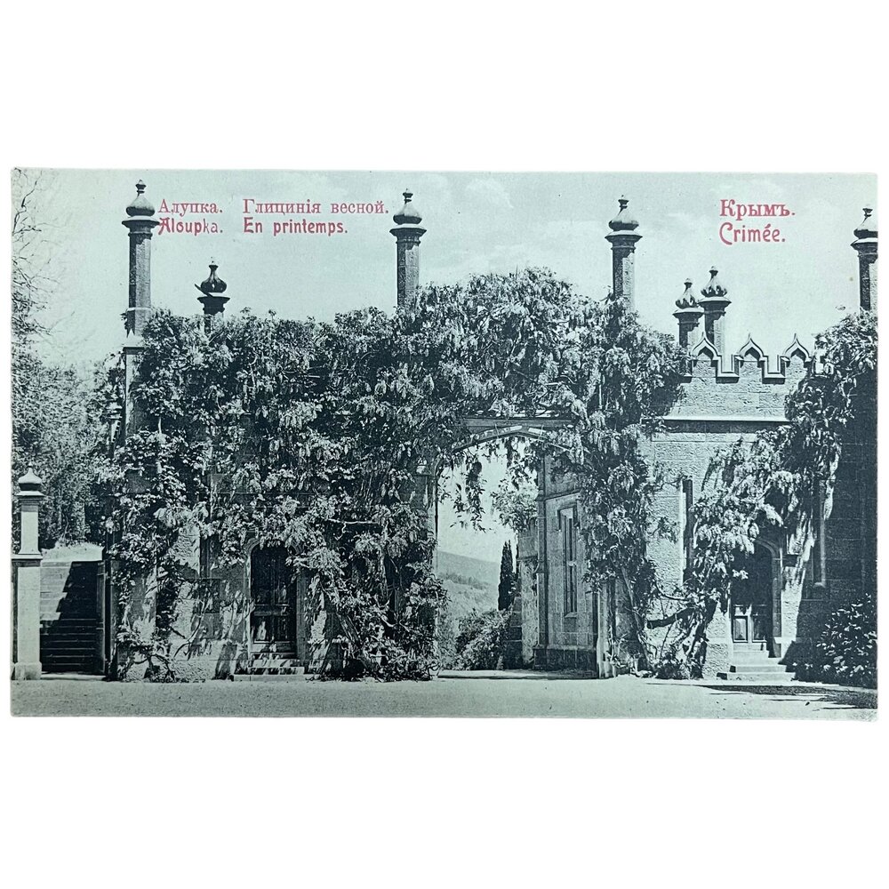 Почтовая открытка "Алупка. Глициния весной. Крым" 1900-1917 гг. Российская Империя