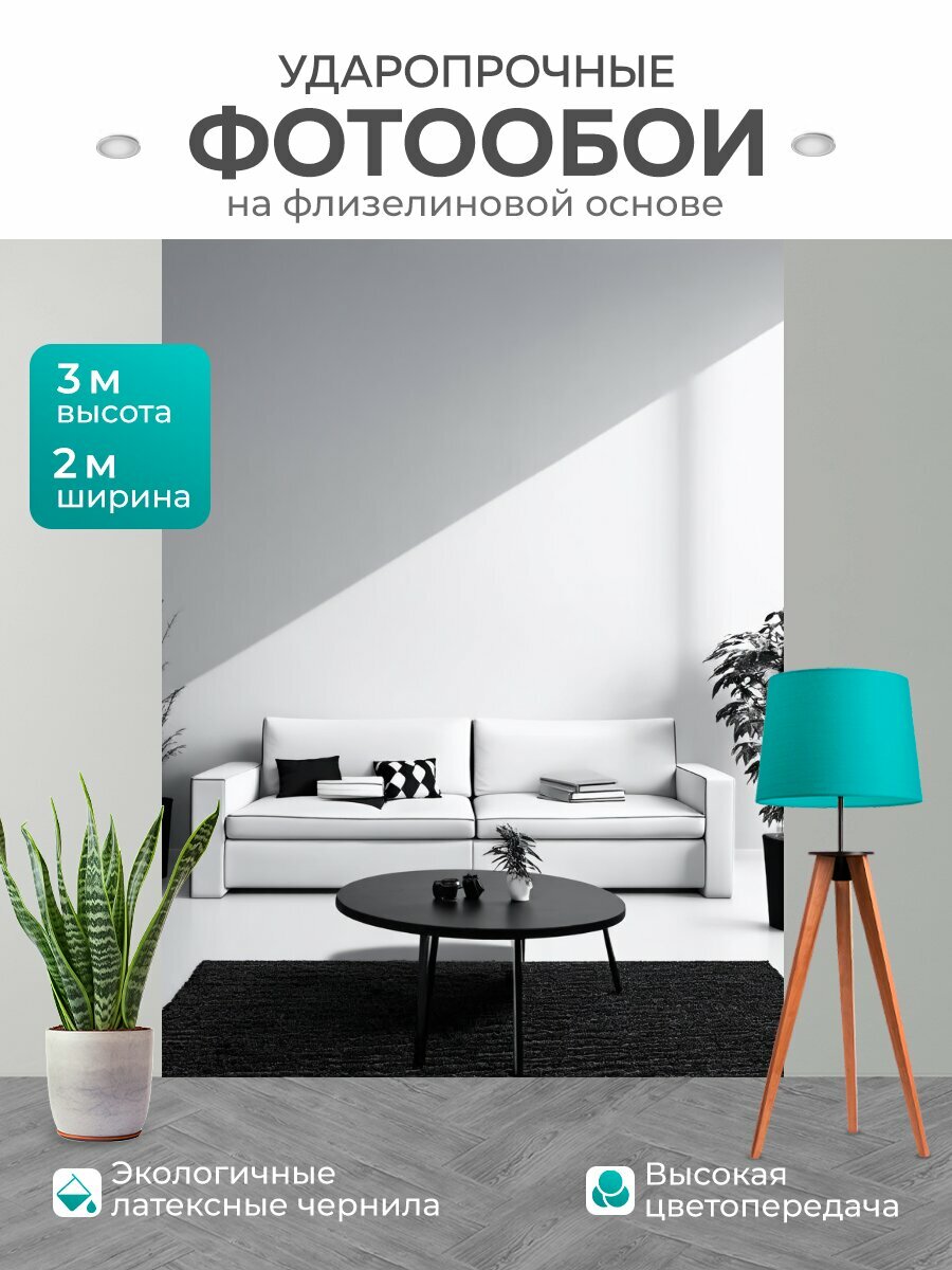 Фотообои моющиеся ударопрочные на кухню "В стиле минимализм с простыми линиями и формами в черно-белой гамме для современного интерьера" 200x300 см. флизелиновые на стену