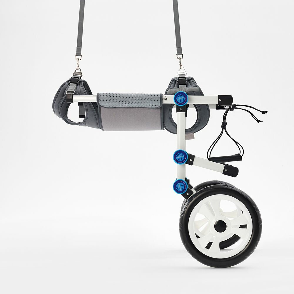 Модные задние конечности собачьи инвалидные коляски, подходящие для восстановления парализованных задних конечностей собак и кошек L, XL