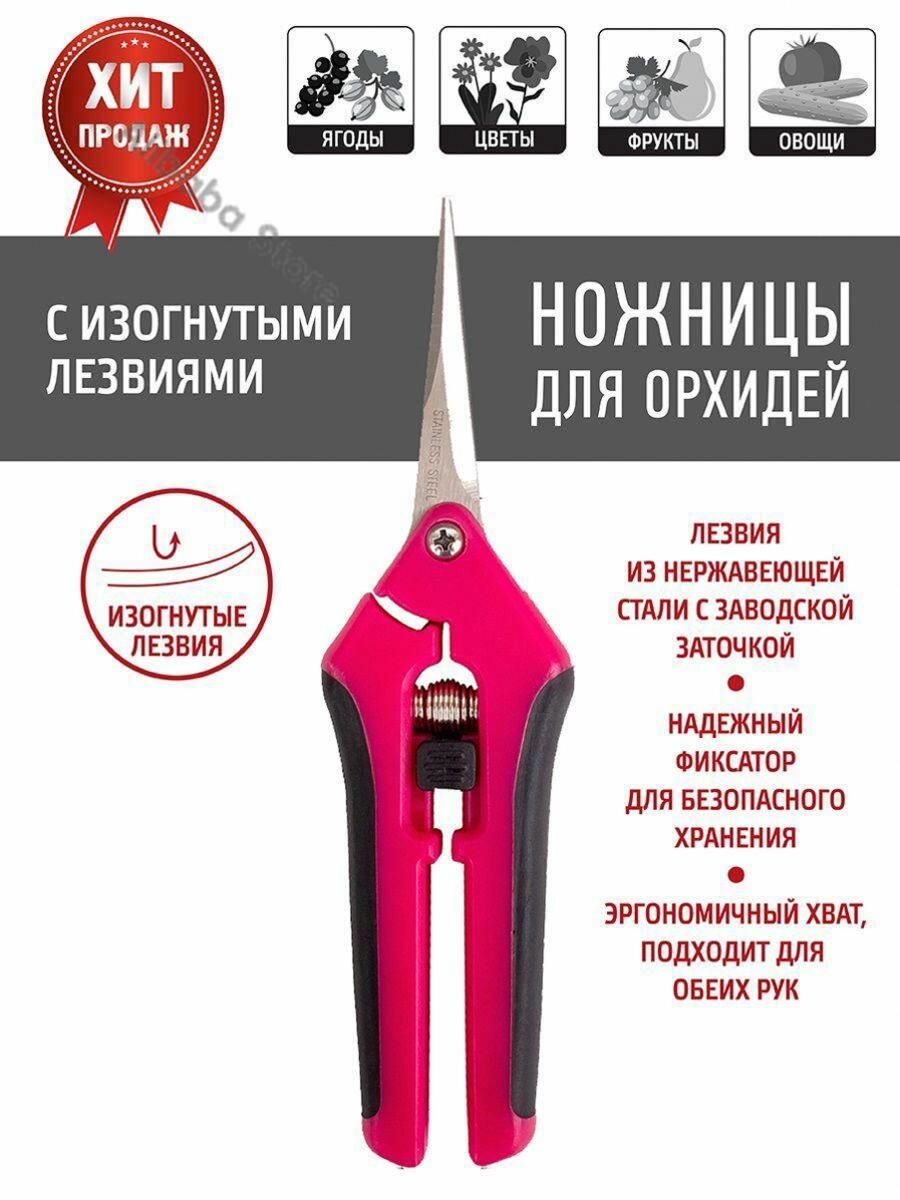 GARDEN SHOW Ножницы для орхидей, с изогнутыми лезвиями, секатор для цветов, длина 16,5см