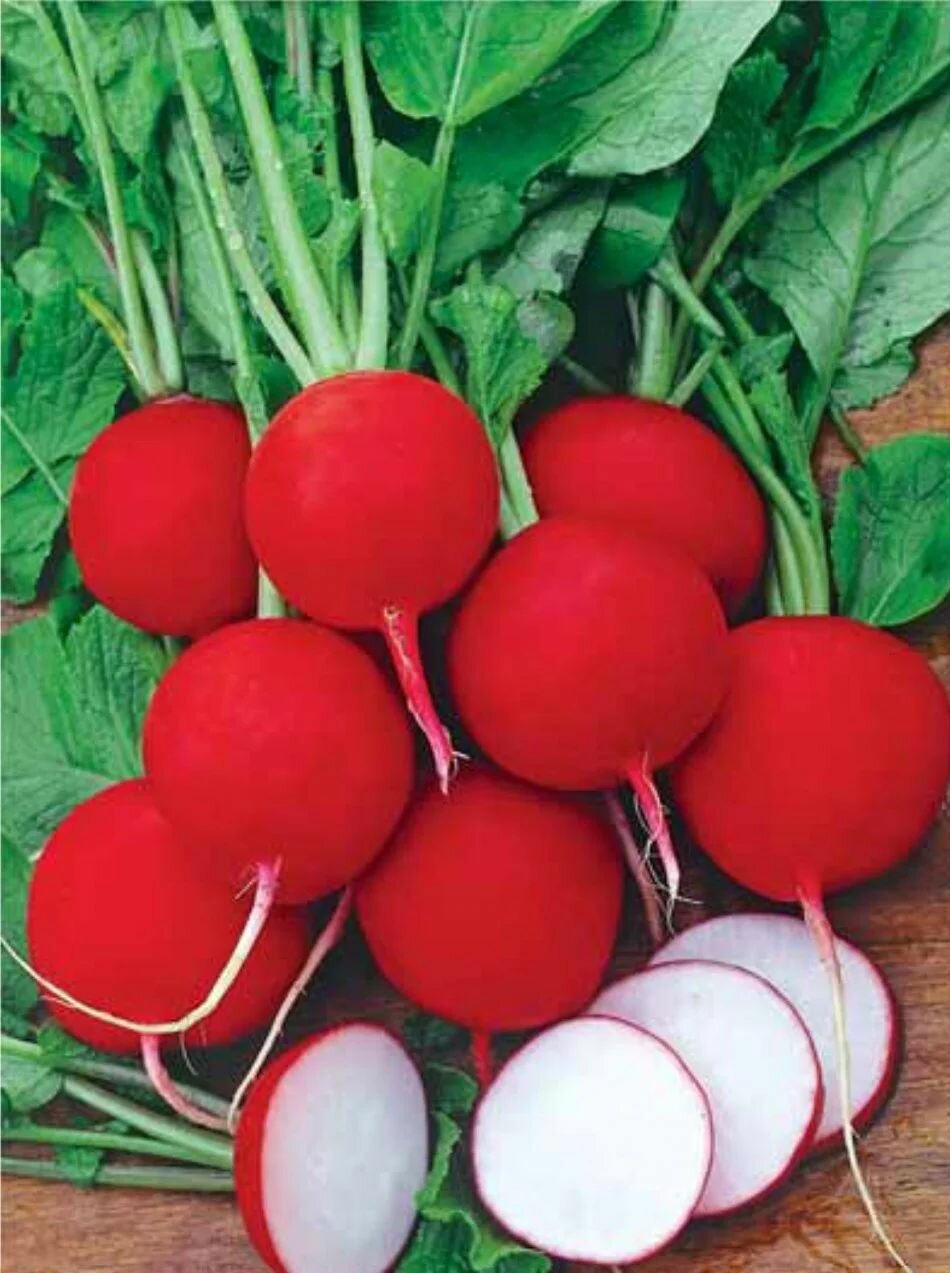 Коллекционные семена редиса Рубин/