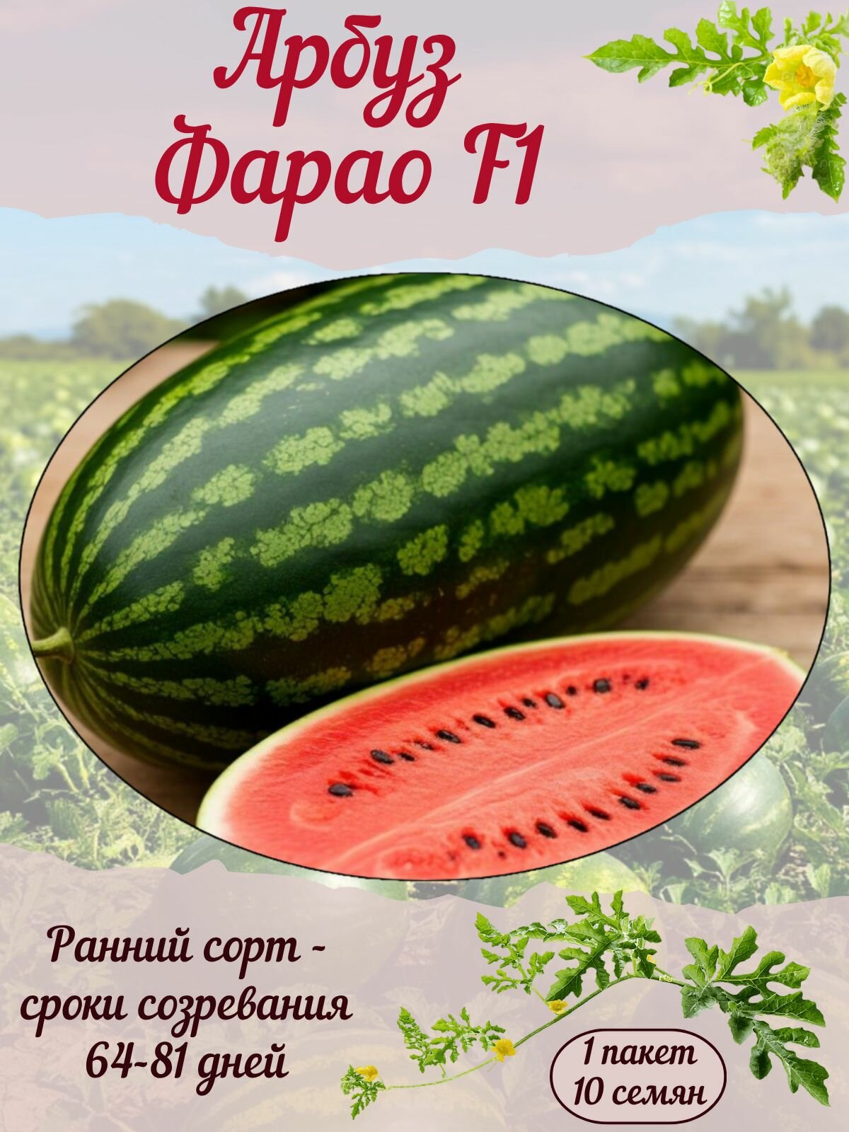 Арбуз Фарао F1, семена, 10 шт, 15 гр.