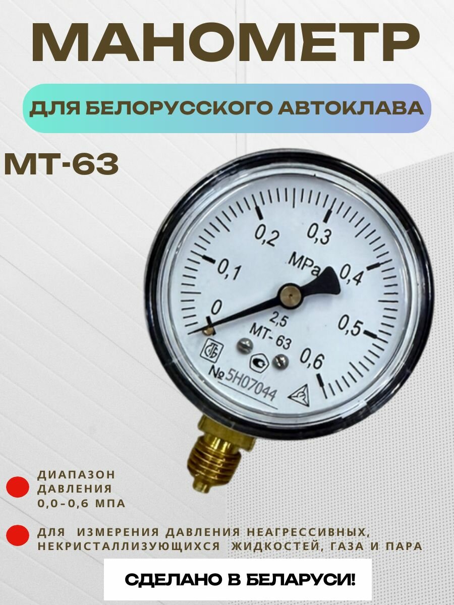 Манометр для автоклава белорусского МТ-63 0-0,6 МПа