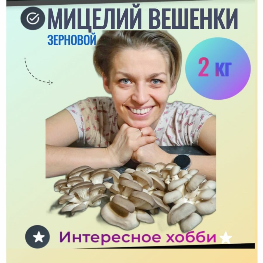Мицелий вешенки зерновой ( штамм т35 ) - 2 кг