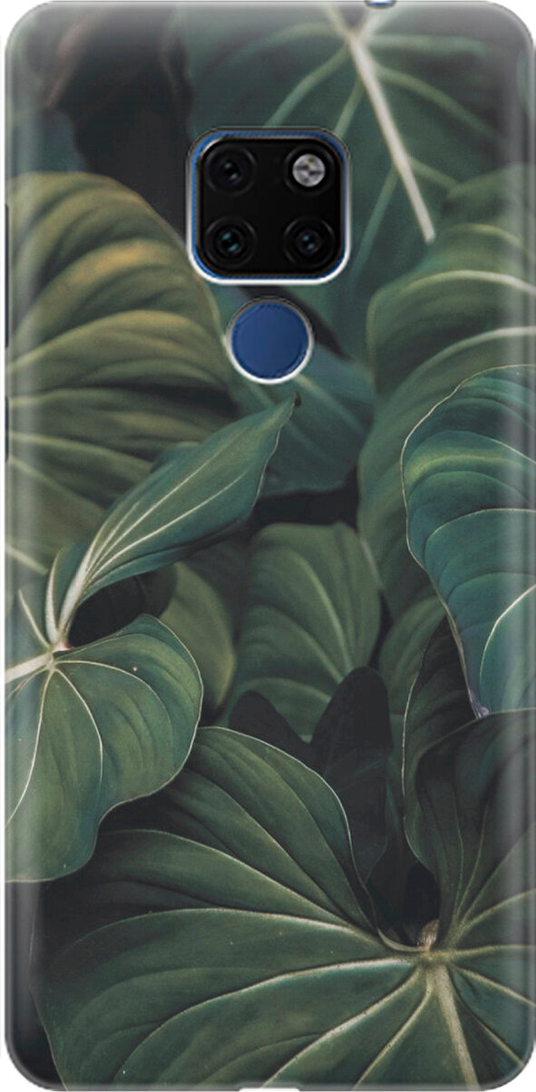 Силиконовый чехол Листья филодендрона на Huawei Mate 20 / Хуавей Мейт 20