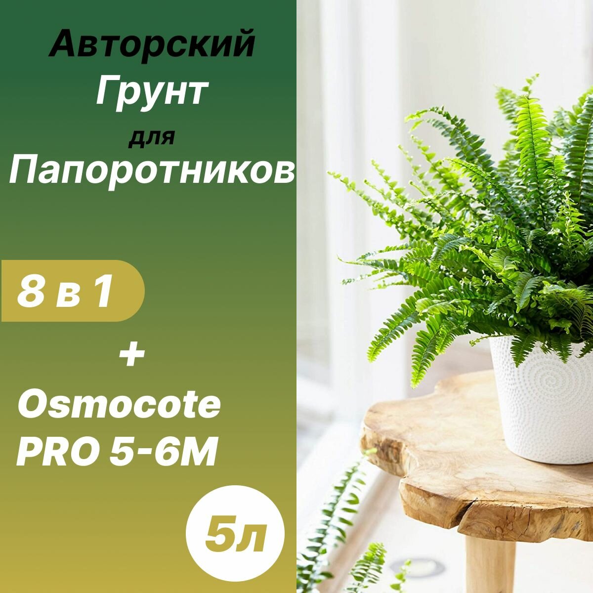 Грунт для папоротников