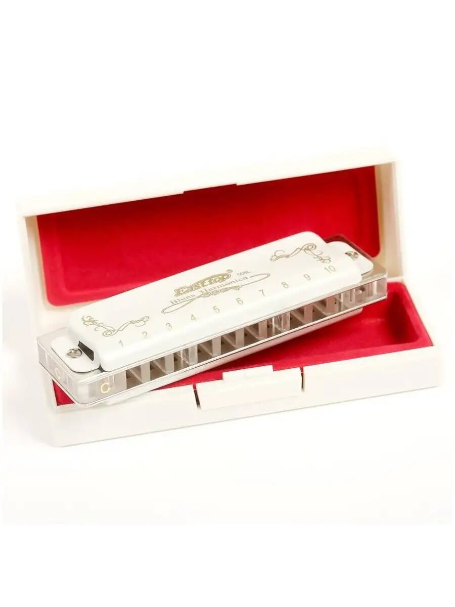 Диатоническая губная гармошка C EASTTOP T008L C