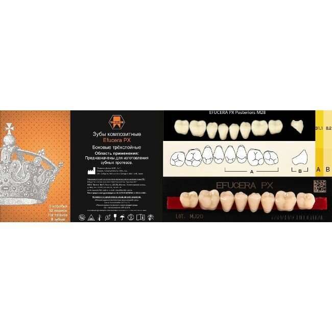 Зубы композитные трехслойные, вариант исполнения: PX, EFUCERA Posterior (боковые нижние), фасон 28 цвет A4,8 шт. на планке.