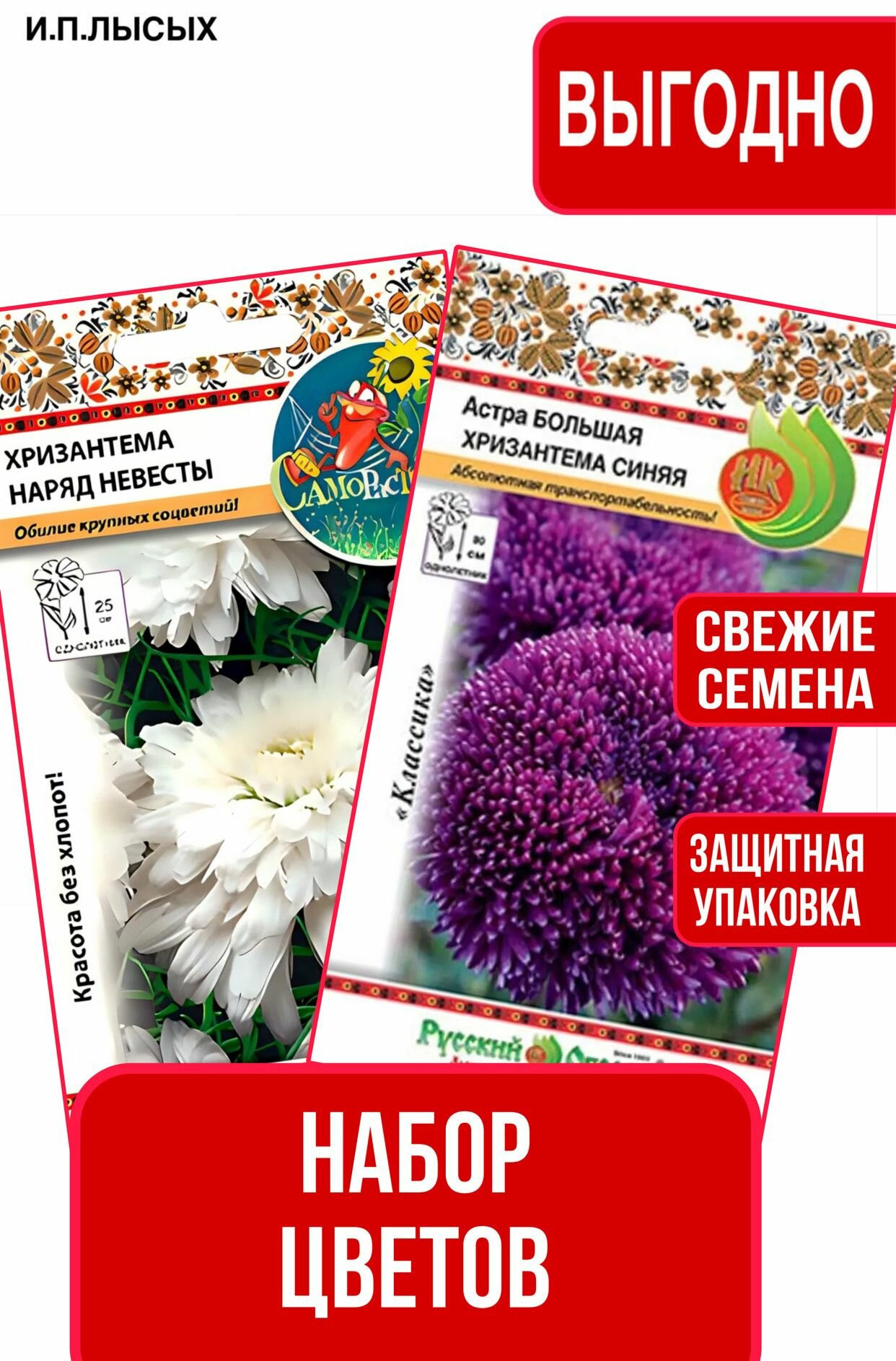 Набор из Астры