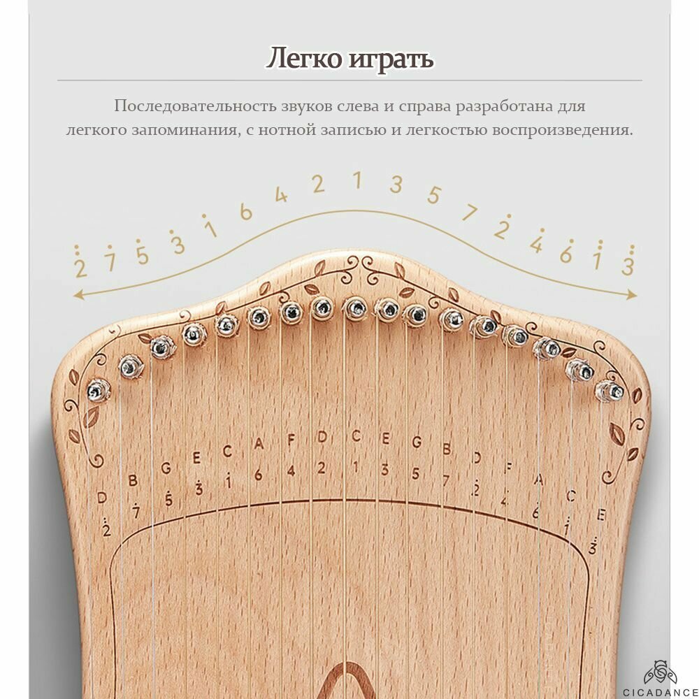 Струнный инструмент — фото 1