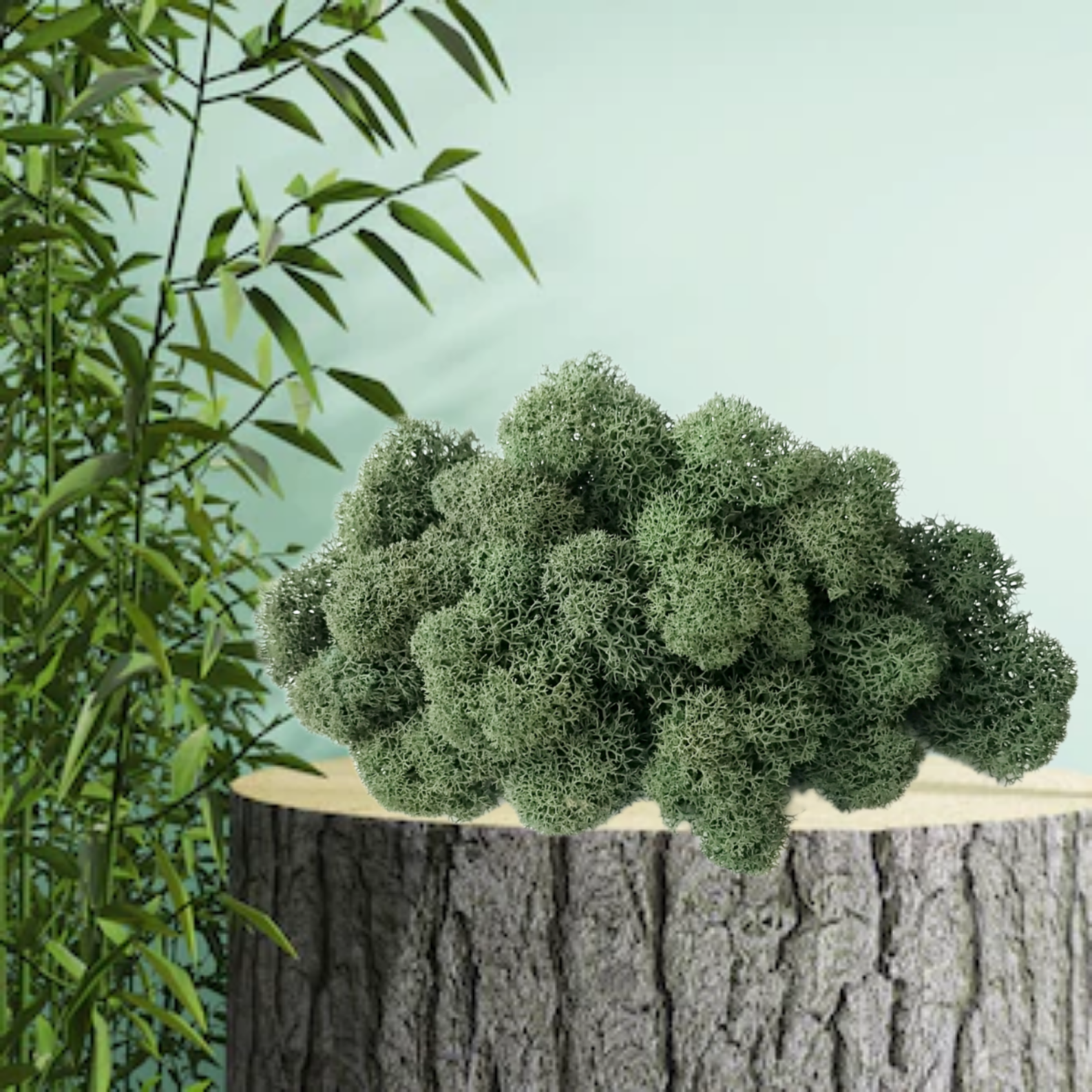 Мох (ягель) стабилизированный, цвет хаки, для декора, 100 гр