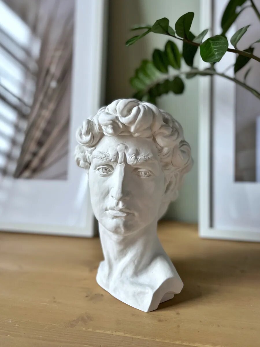 Статуэтка интерьерная голова Давида