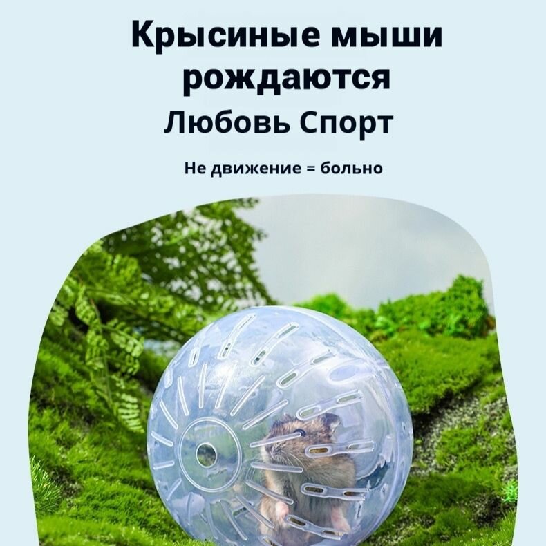 Прогулочный шар для грызунов хомяковдля крыс, для грызунов. Диаметр 10 см