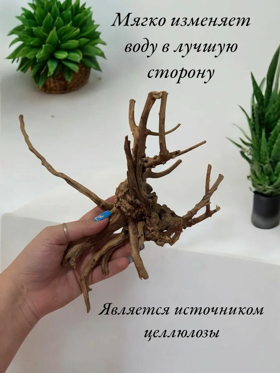 Декорация для аквариума — фото 1